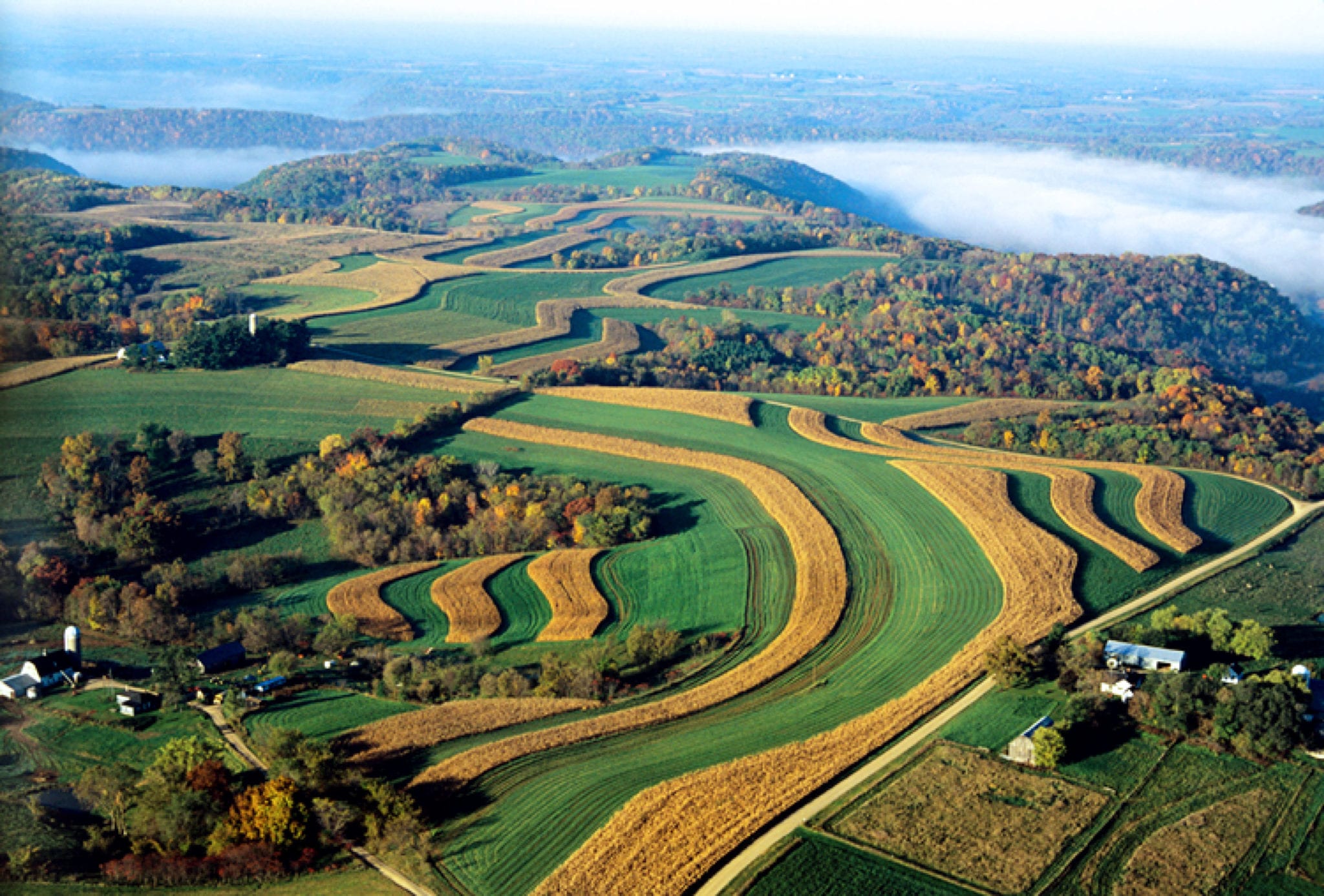 Aerial View of Cropland - Wisconsin Potatoes