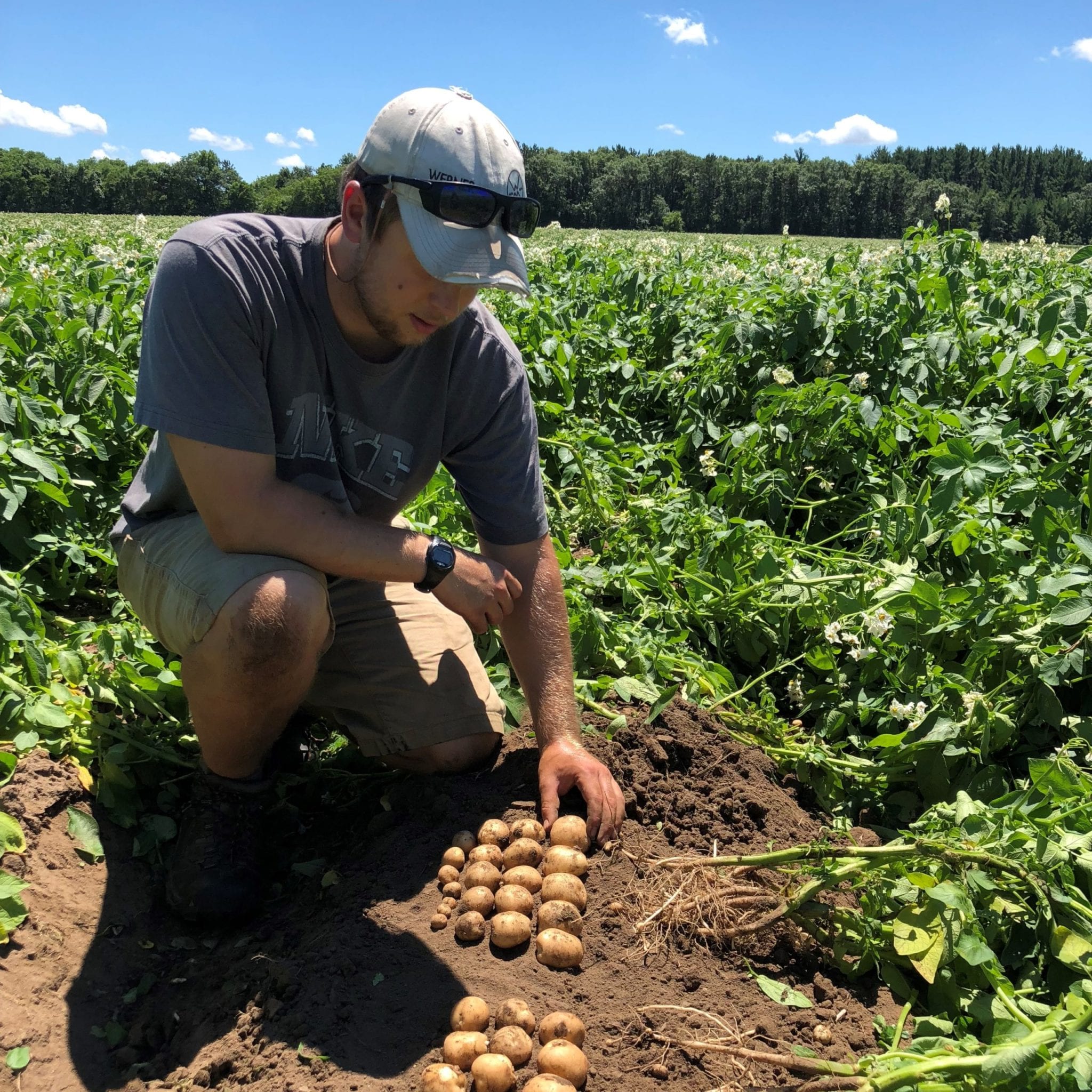 Hiring Interns Makes Good Business Sense - Wisconsin Potato and ...