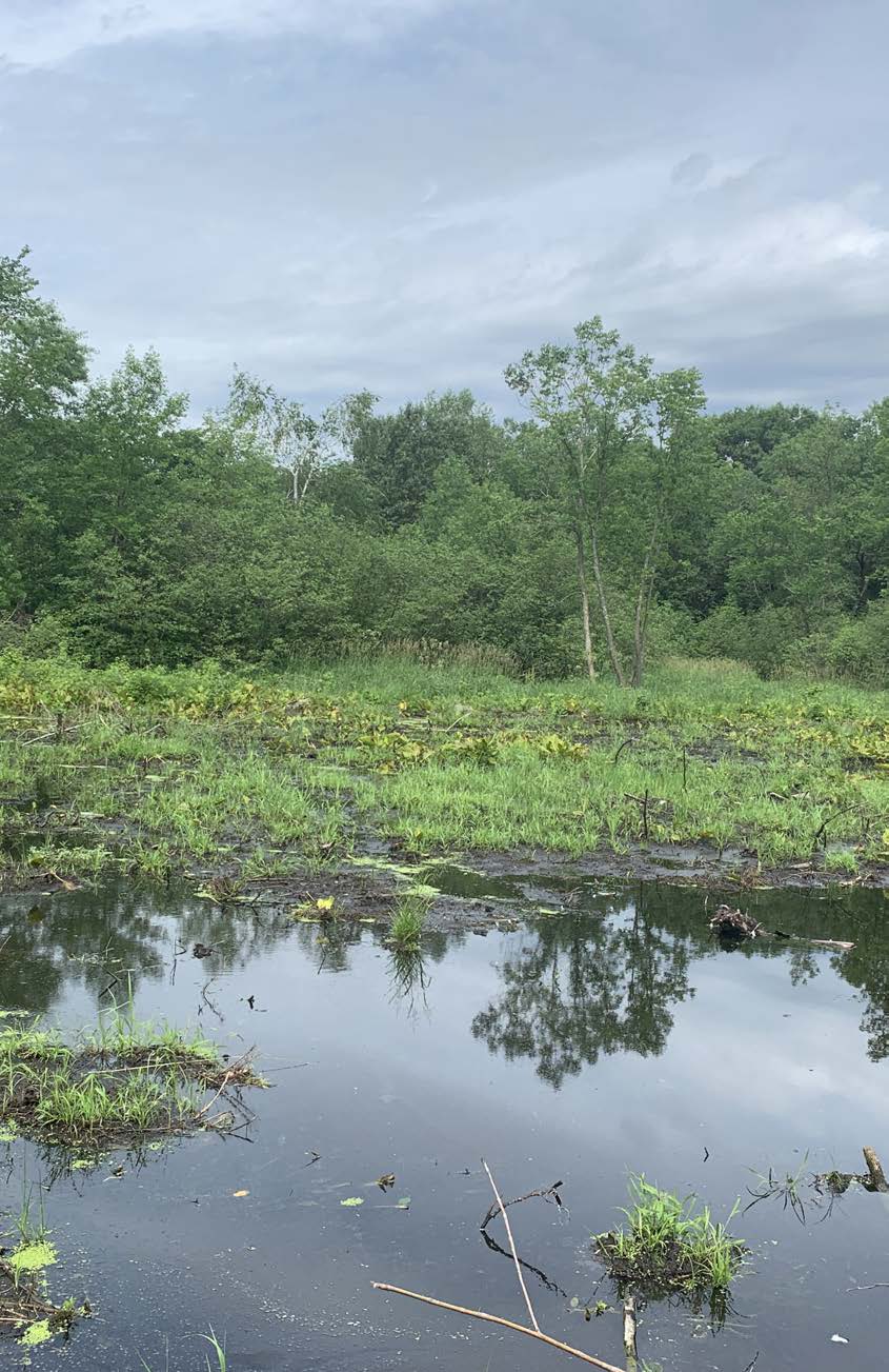 Water Task Force - Wisconsin Potato and Vegetable Growers Association