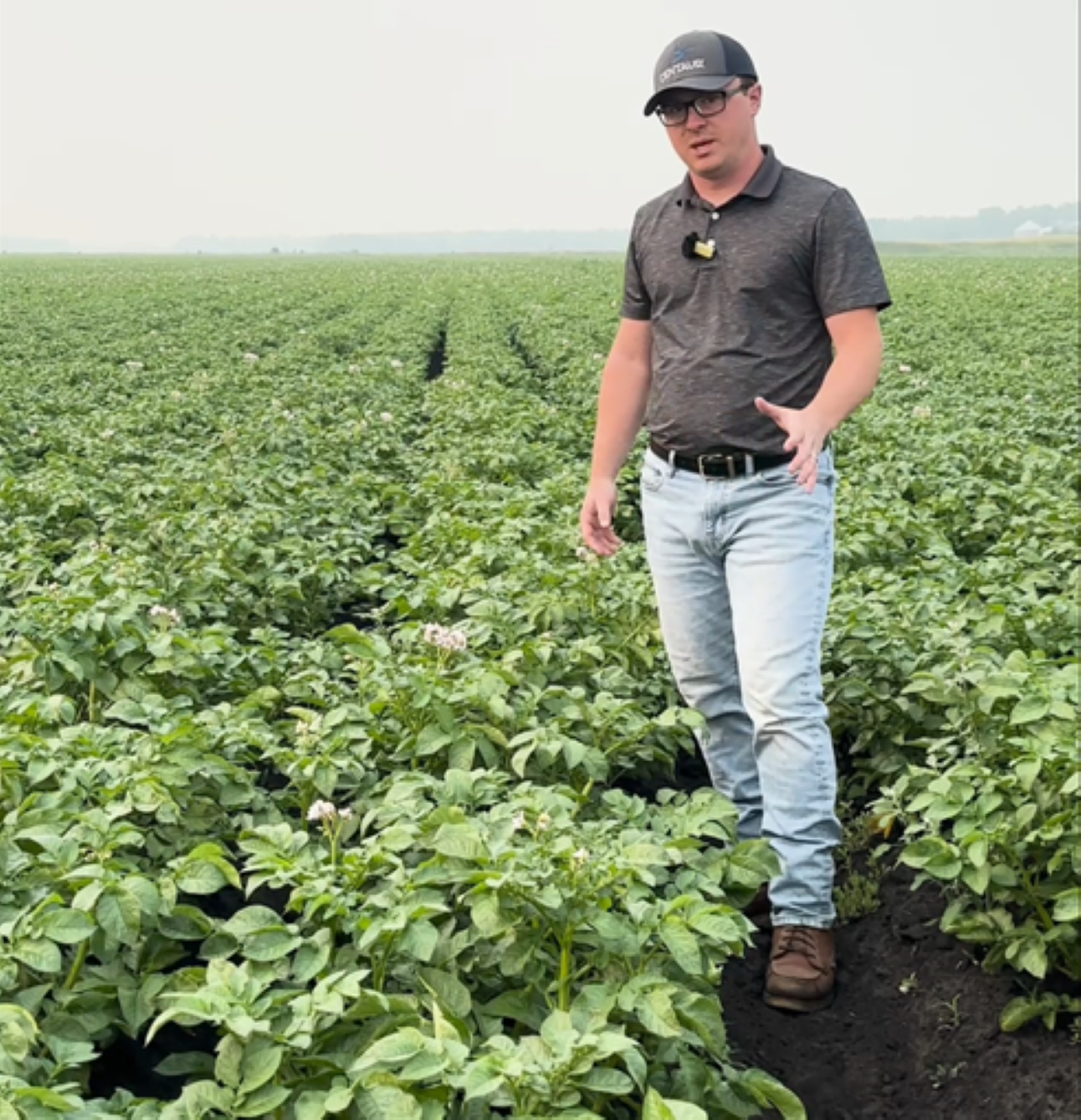 Interview with Tim Schrank - Wisconsin Potato and Vegetable Growers ...