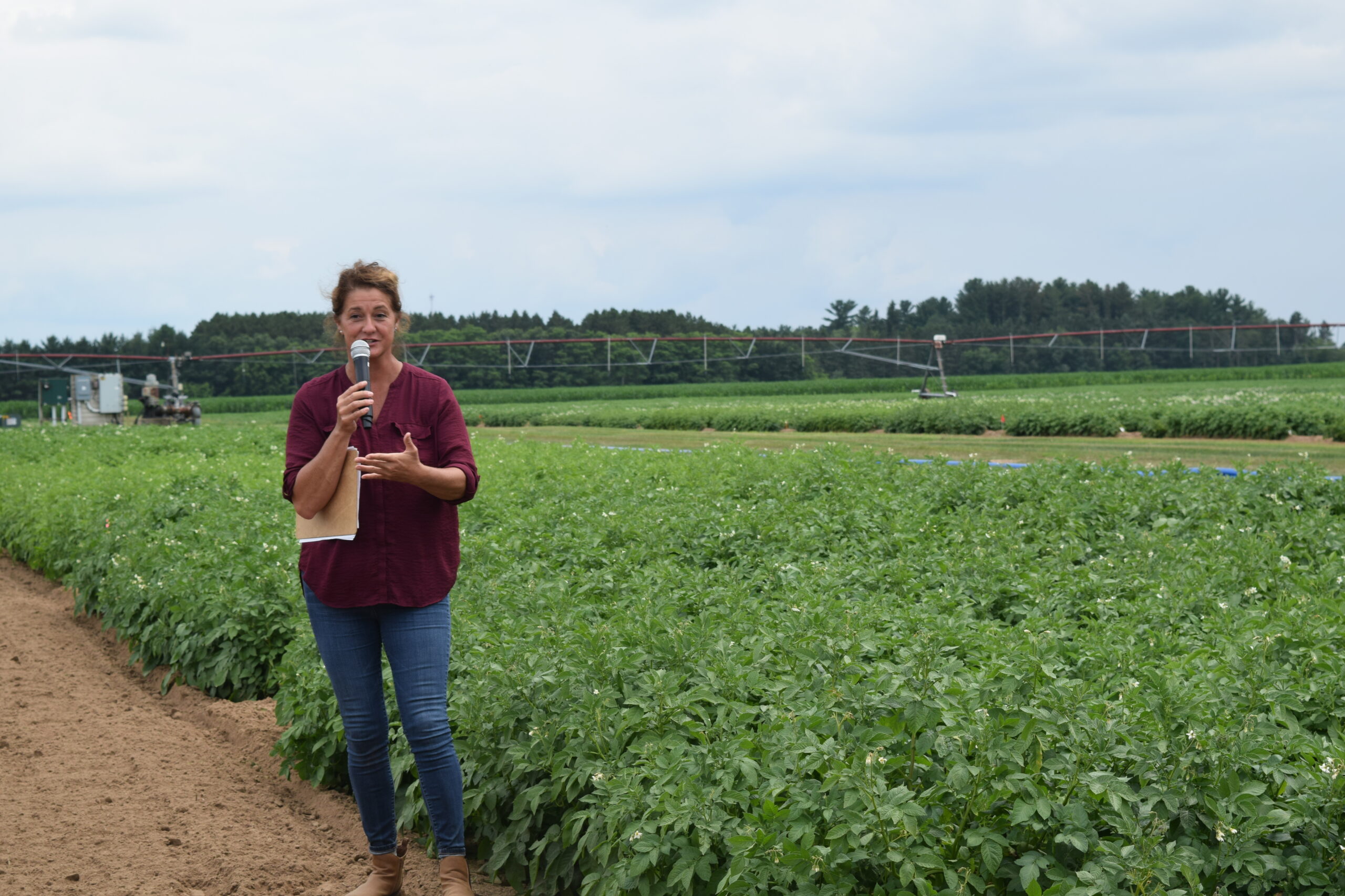 Important Update on Blocker Fungicide in Potato - Wisconsin Potato and ...